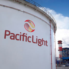 PacificLight Energy branding - Tangible Brand Consultants Singapore